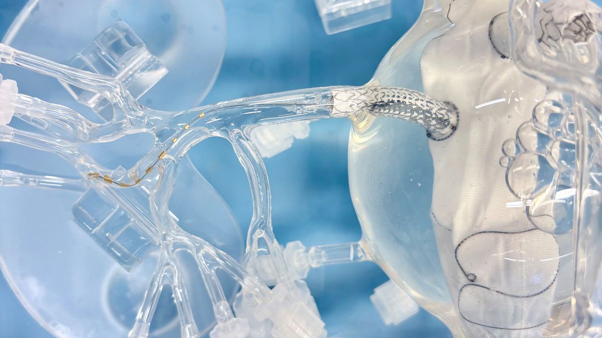 Robotik für endovaskuläre Eingriffe: Berner Gefässchirurgie kooperiert ...